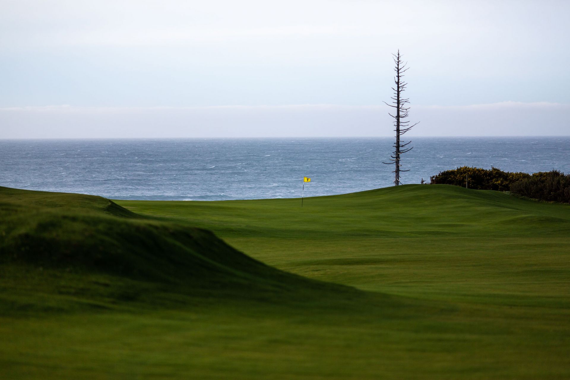 A Walking Tour of The Sheep Ranch - The Golfer’s Journal