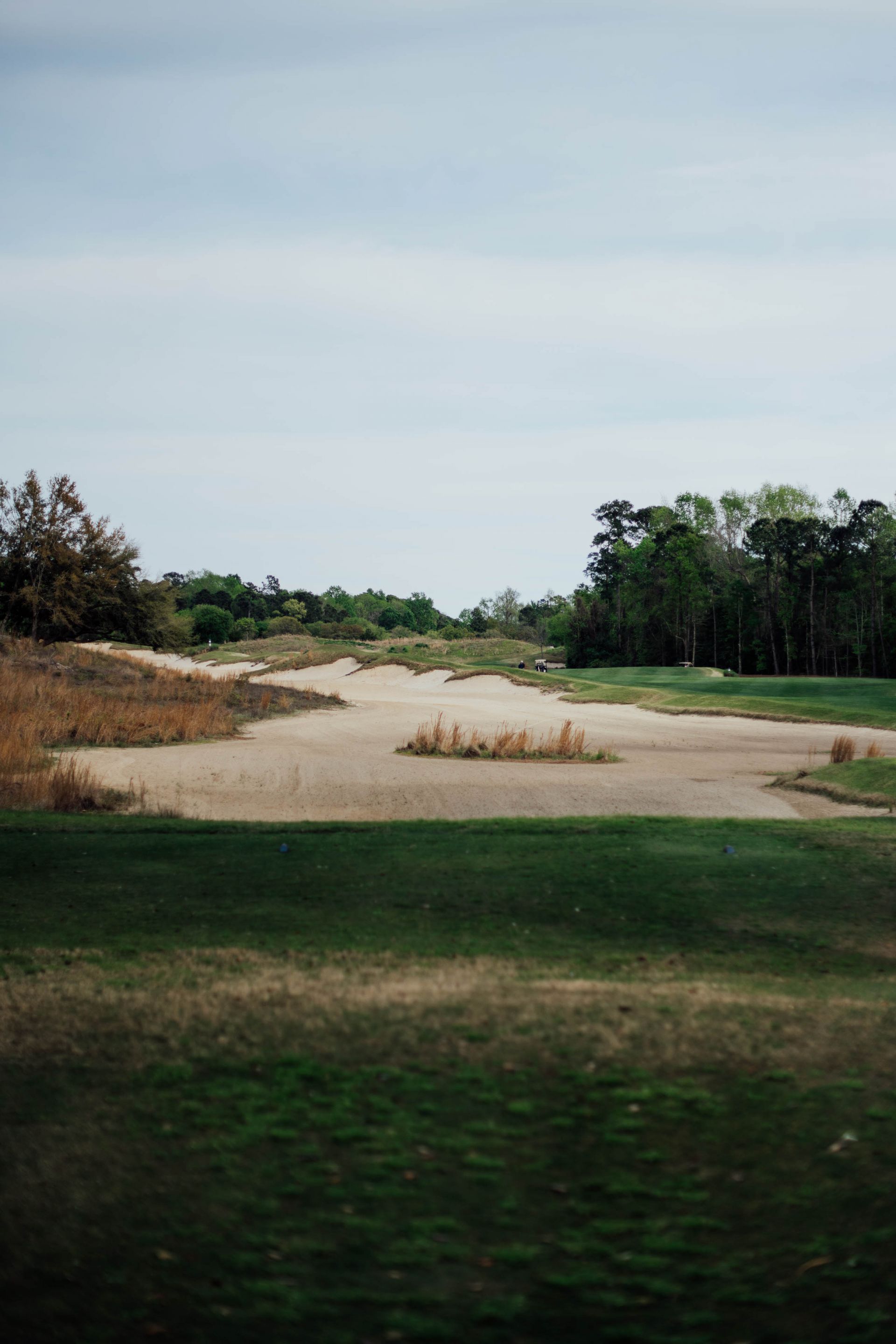 No. 13 at True Blue Golf Club - The Golfer’s Journal