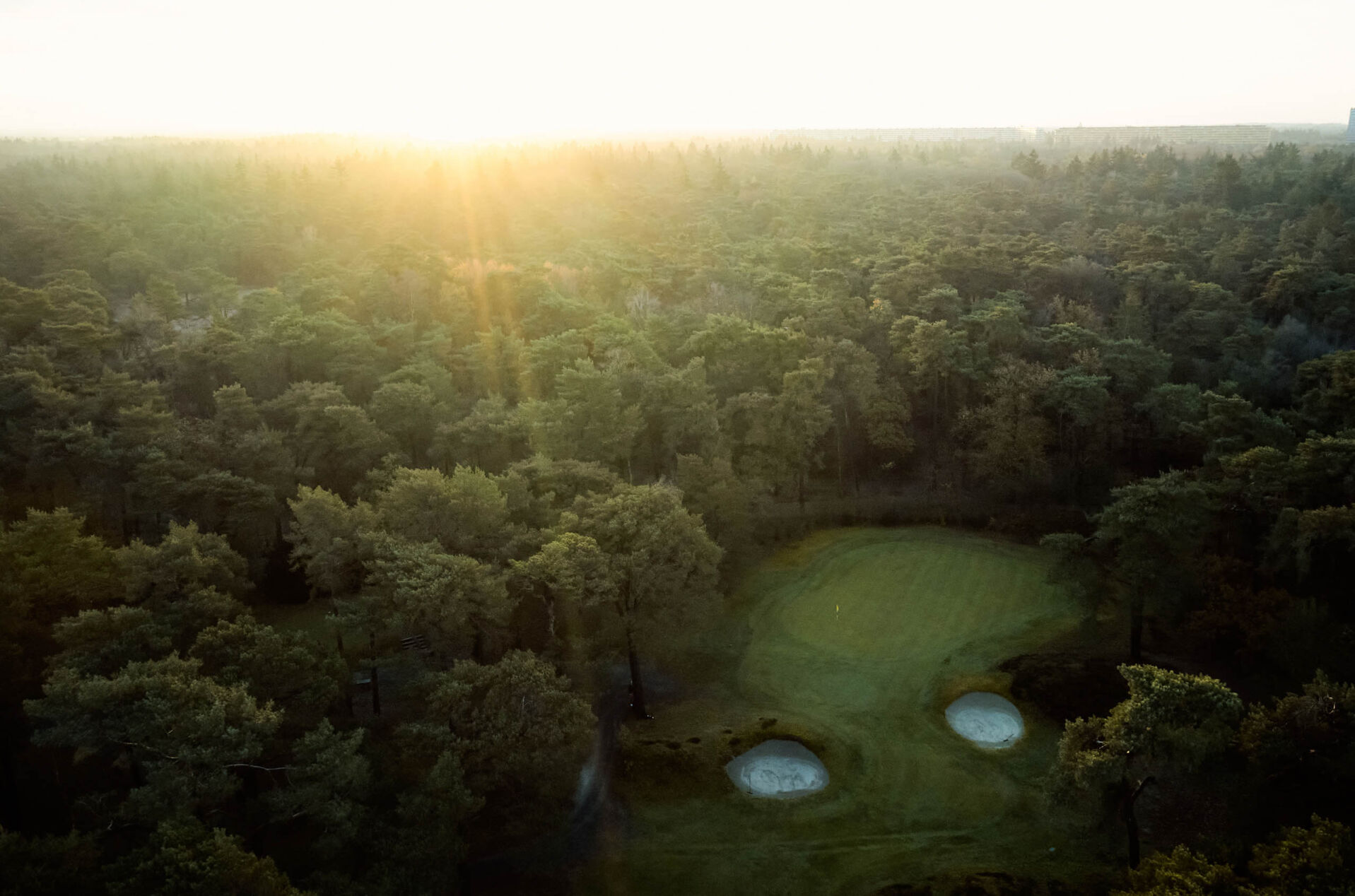 The Winning Argument - The Golfer’s Journal