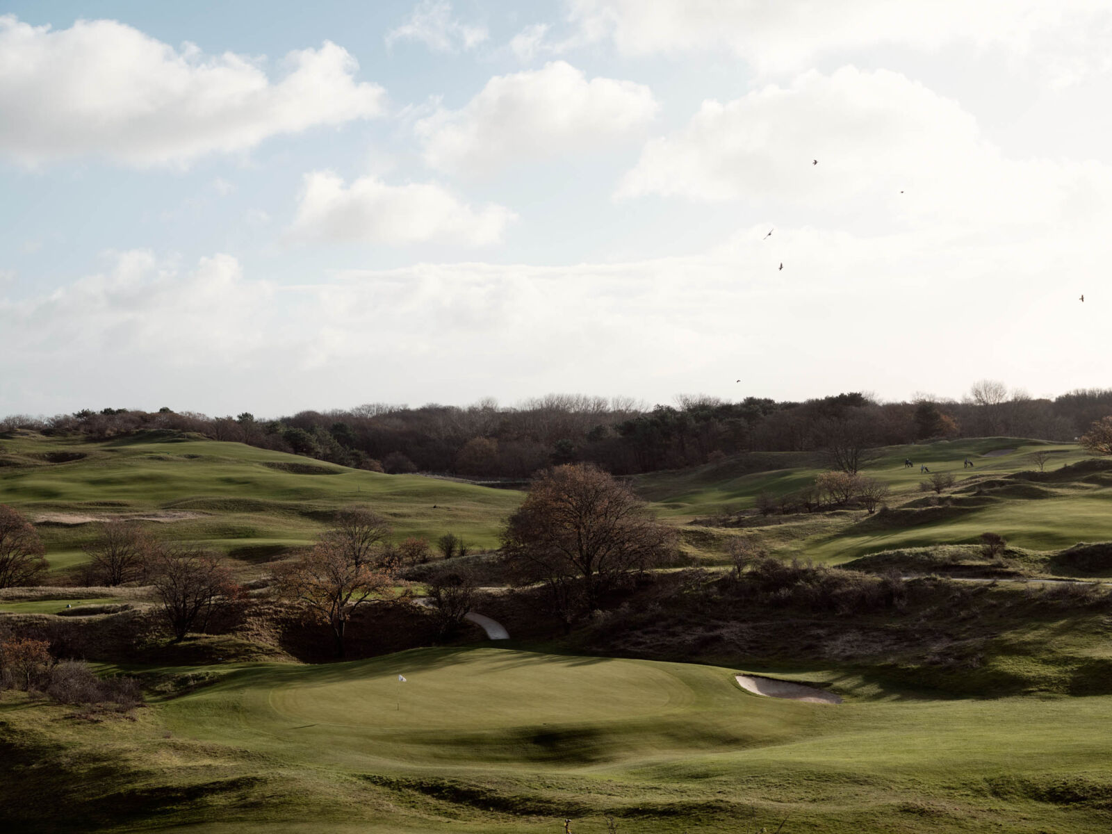 The Winning Argument - The Golfer’s Journal