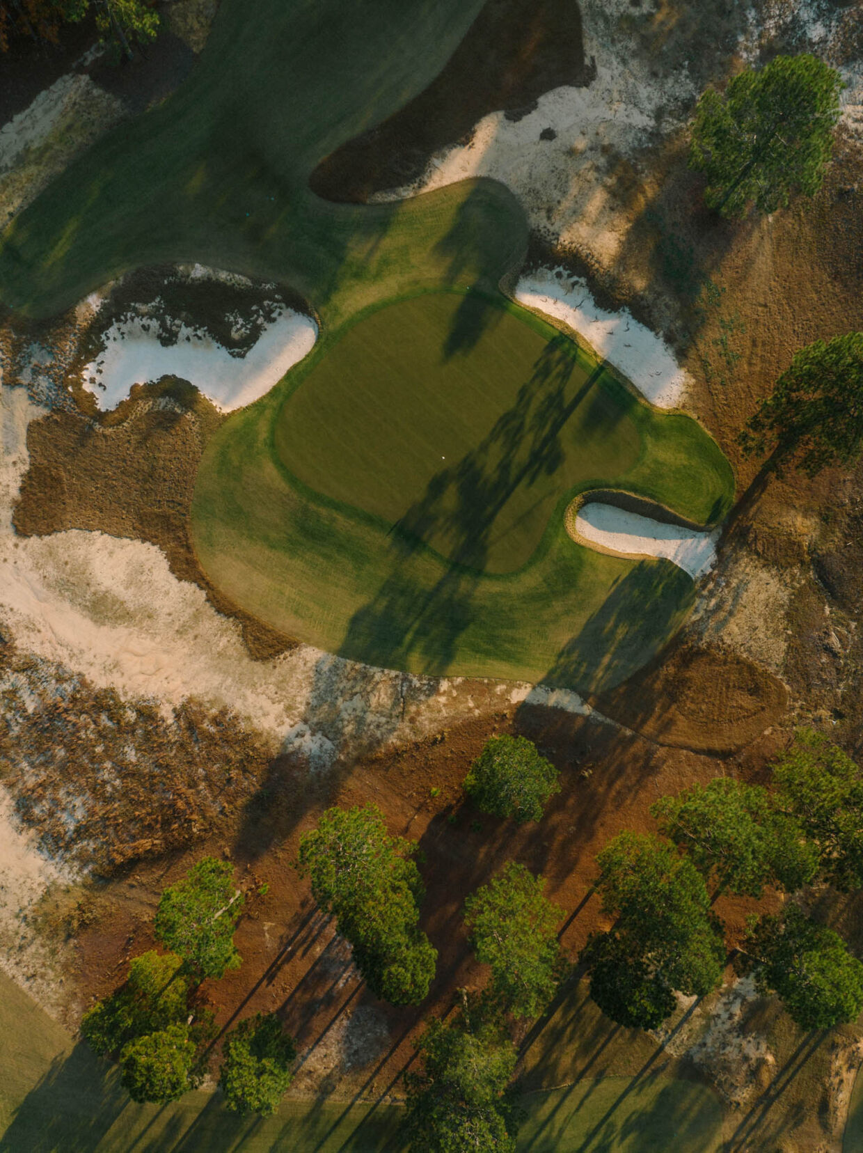 The Mostly True Story of Pinehurst - The Golfer’s Journal