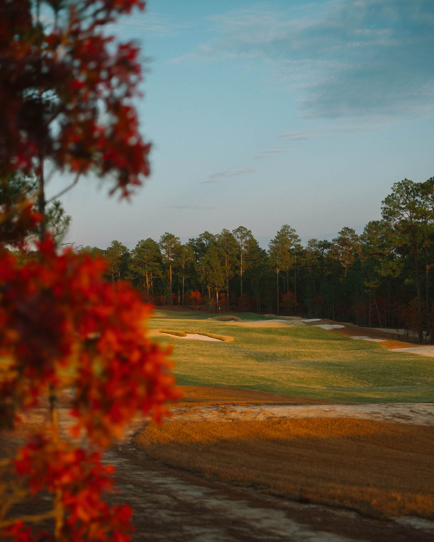 The Mostly True Story of Pinehurst - The Golfer’s Journal