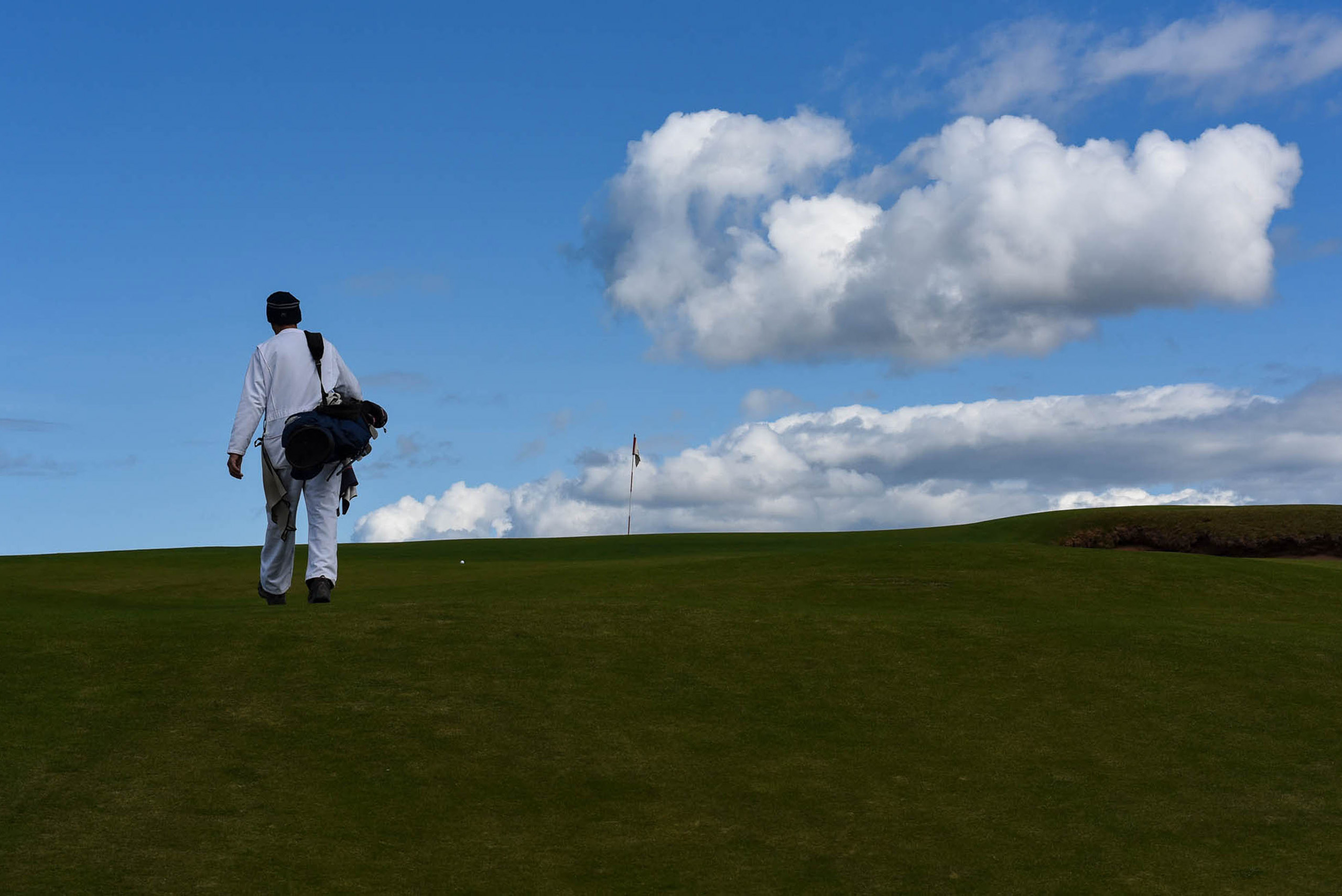 Willy Wilcox's Second Swing - The Golfer’s Journal